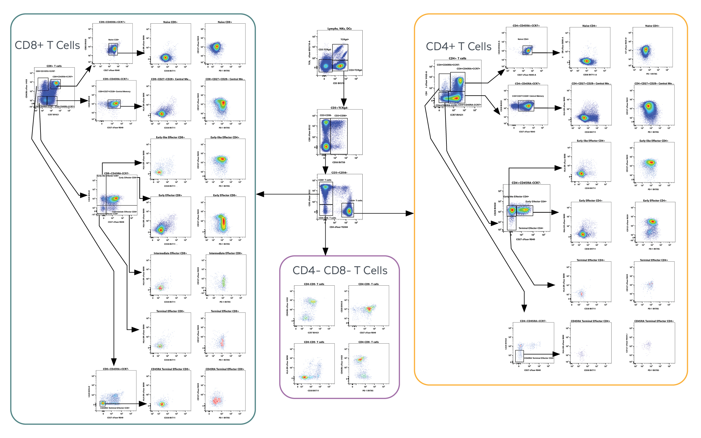 Cytek® 25-Color Immunoprofiling Assay, cFluor® Reagent Kit (18C ...